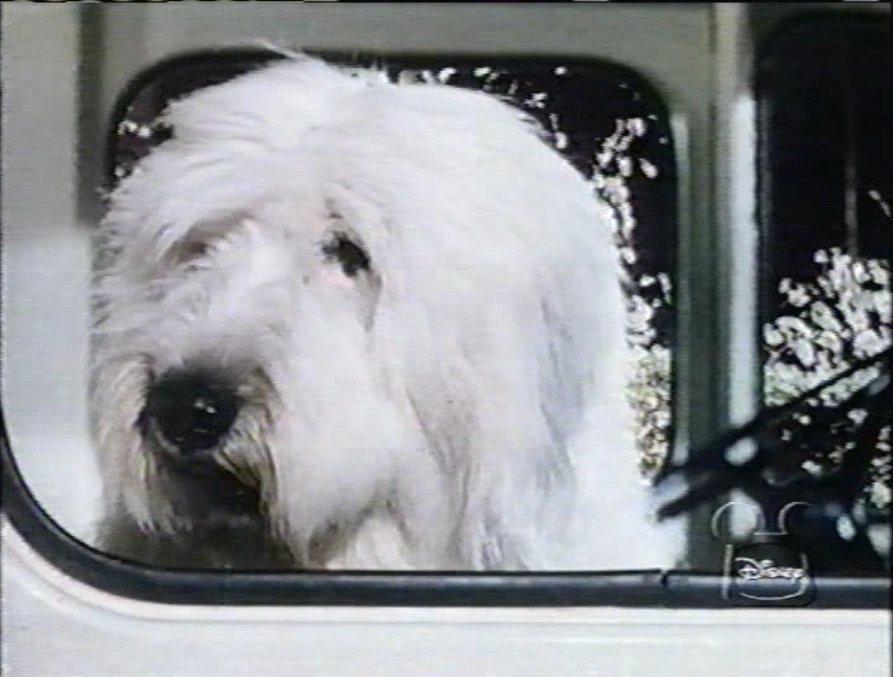 April 26, 1998 | Disney Channel Broadcast Archives Wiki | Fandom