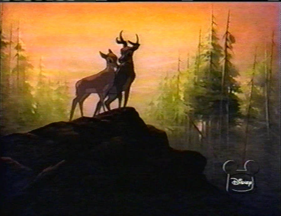 February 26, 1998 | Disney Channel Broadcast Archives Wiki | Fandom