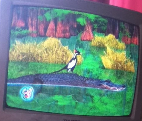 November 4, 2011 | Disney Channel Broadcast Archives Wiki | Fandom