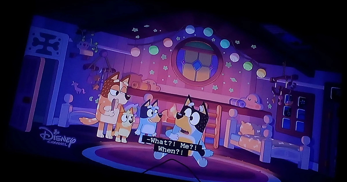 January 19, 2024 | Disney Channel Broadcast Archives Wiki | Fandom