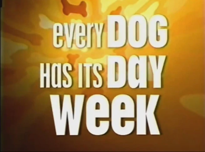 Events | Disney Channel Broadcast Archives Wiki | Fandom