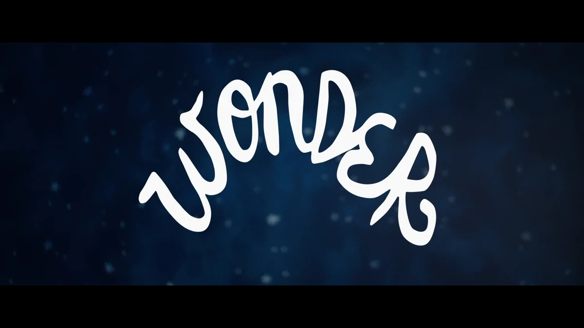 Wonder | Disney Channel Broadcast Archives Wiki | Fandom