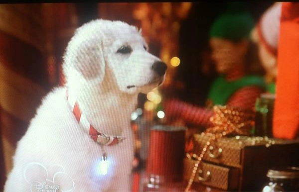 December 3, 2012 | Disney Channel Broadcast Archives Wiki | Fandom