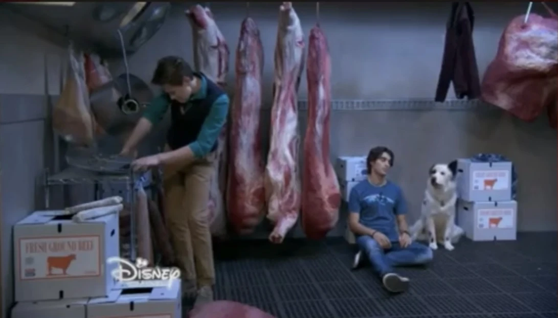 April 17, 2015 | Disney Channel Broadcast Archives Wiki | Fandom