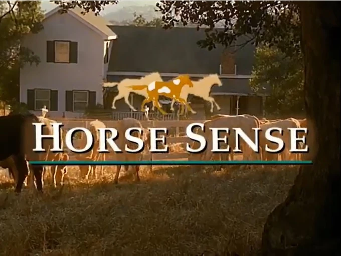 Horse Sense Disney Film