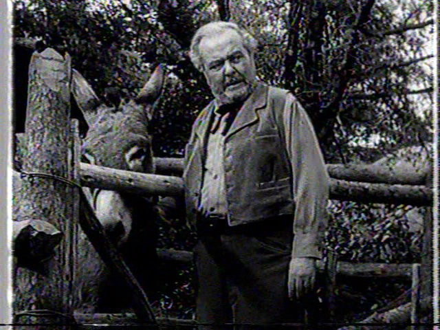 July 2, 1986 | Disney Channel Broadcast Archives Wiki | Fandom