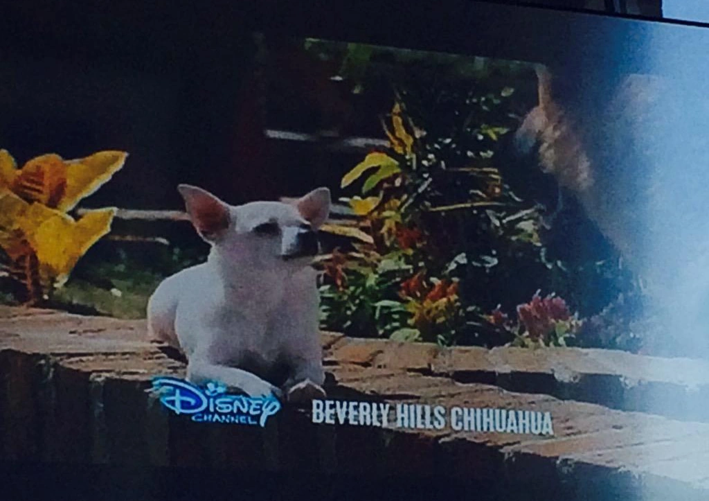 March 12, 2015 | Disney Channel Broadcast Archives Wiki | Fandom