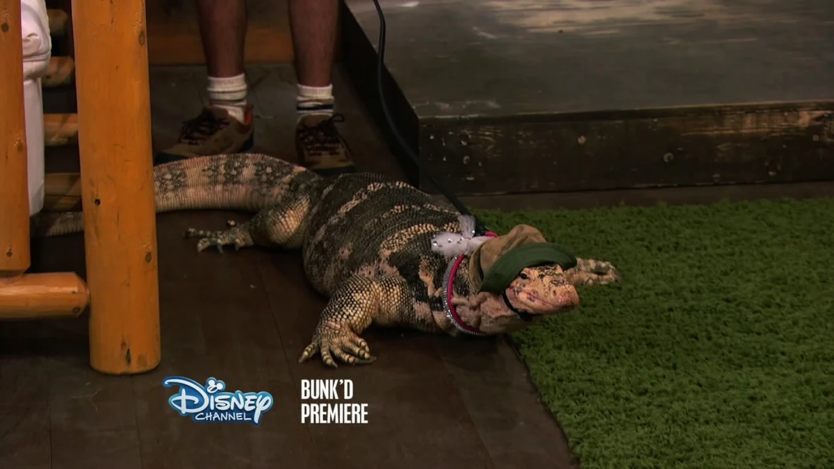 July 31, 2015 | Disney Channel Broadcast Archives Wiki | Fandom