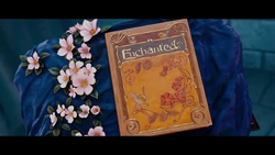 Enchanted | Disney Channel Broadcast Archives Wiki | Fandom