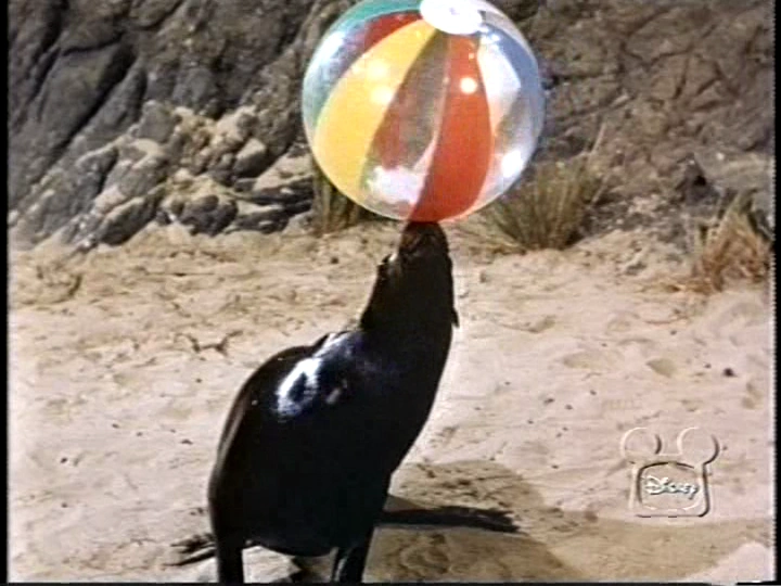 December 21, 1998 | Disney Channel Broadcast Archives Wiki | Fandom