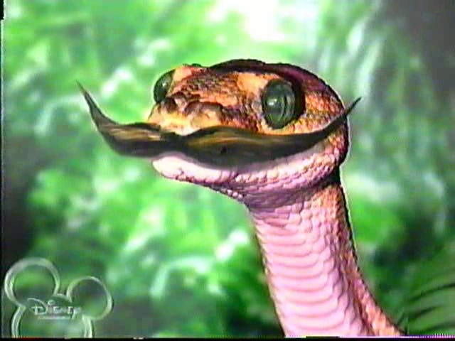October 2, 2005 | Disney Channel Broadcast Archives Wiki | Fandom