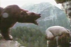 January 11, 1991 | Disney Channel Broadcast Archives Wiki | Fandom