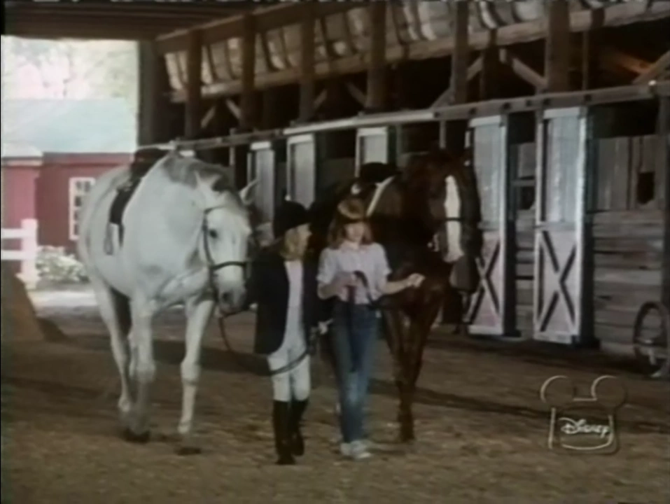 July 25, 2002 | Disney Channel Broadcast Archives Wiki | Fandom