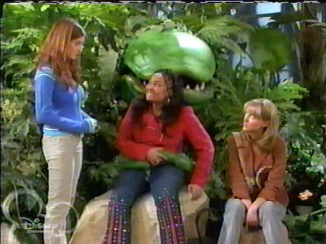 February 25, 2006 | Disney Channel Broadcast Archives Wiki | Fandom