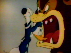 August 16, 1988 | Disney Channel Broadcast Archives Wiki | Fandom