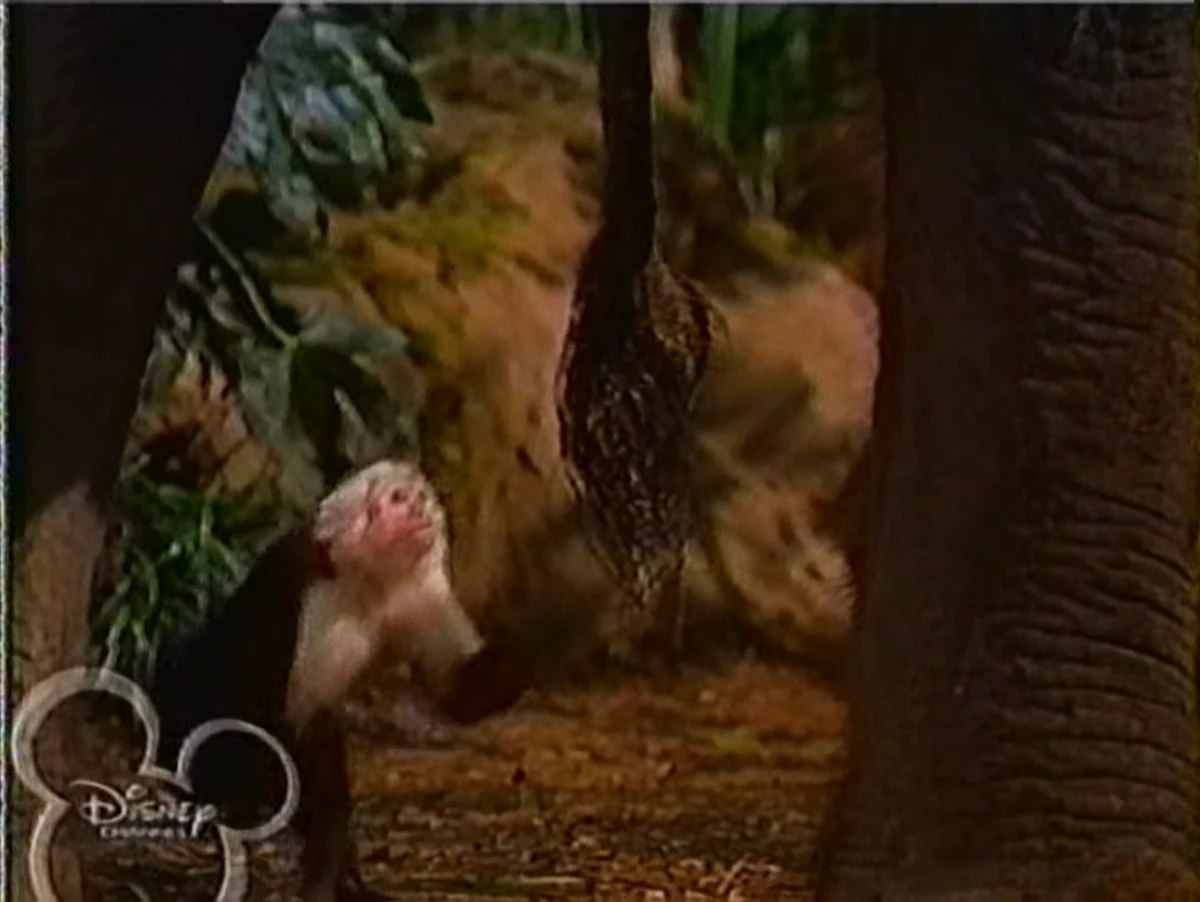 November 27, 2002 | Disney Channel Broadcast Archives Wiki | Fandom
