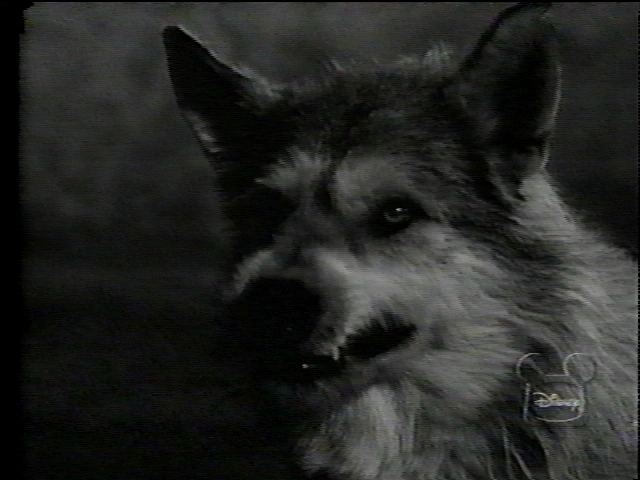 April 11, 2002 | Disney Channel Broadcast Archives Wiki | Fandom