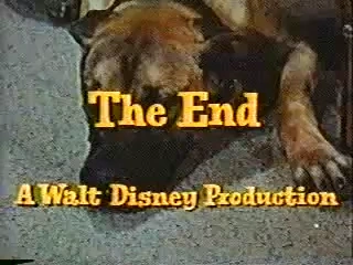 May 21, 1988 | Disney Channel Broadcast Archives Wiki | Fandom