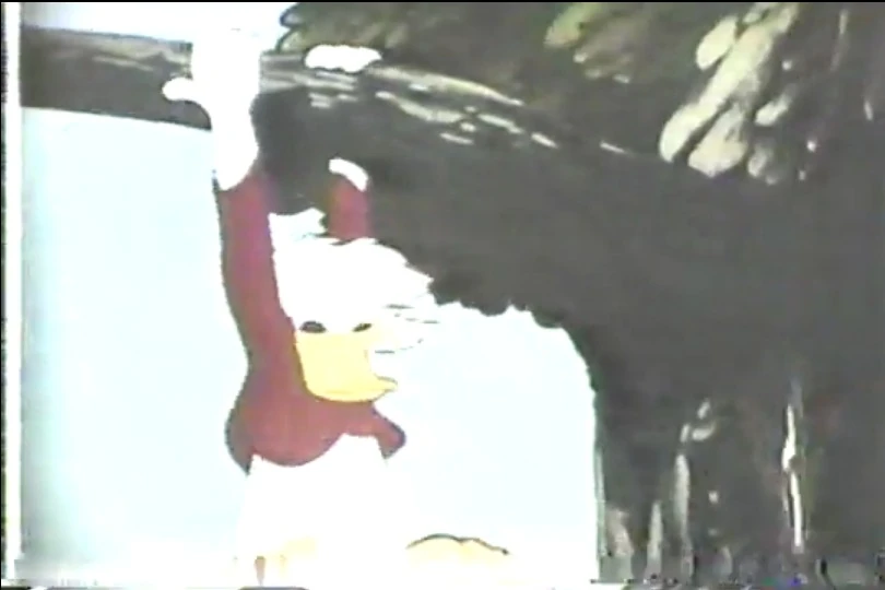 August 28, 1988 | Disney Channel Broadcast Archives Wiki | Fandom