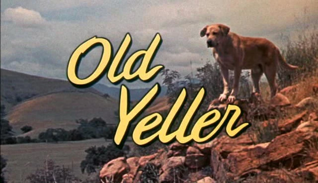 Old Yeller | Disney Channel Broadcast Archives Wiki | Fandom