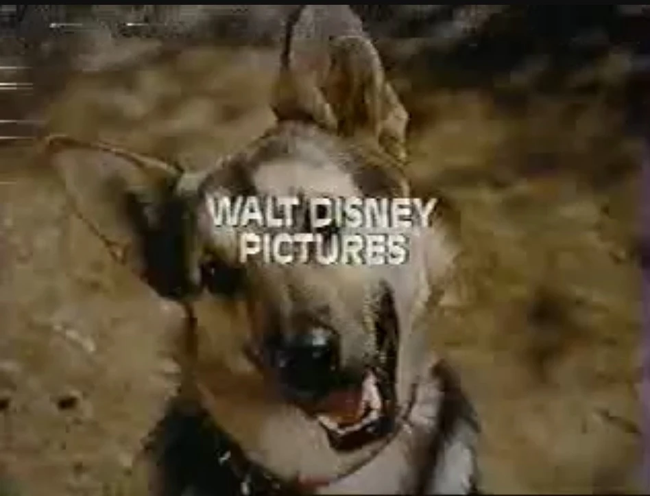 February 12, 1984 | Disney Channel Broadcast Archives Wiki | Fandom
