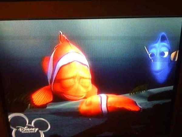 February 6, 2009 | Disney Channel Broadcast Archives Wiki | Fandom