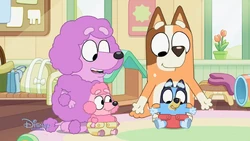 March 13, 2025 | Disney Channel Broadcast Archives Wiki | Fandom