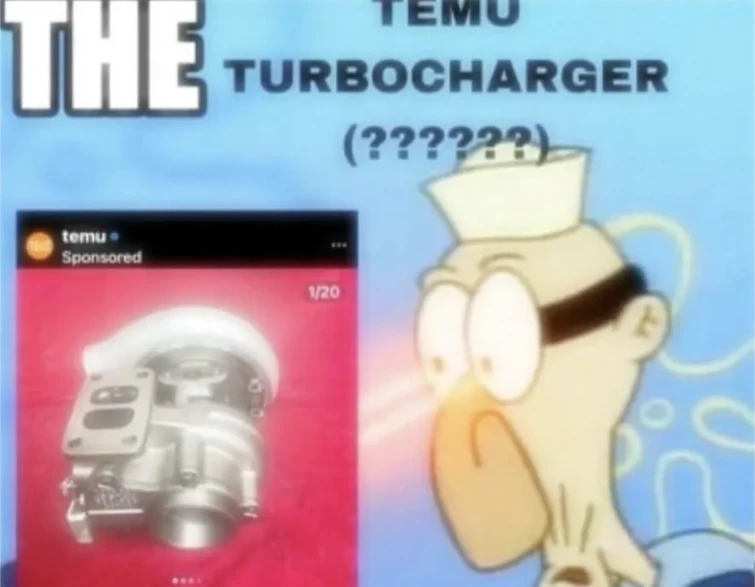 daily meme #172: temu | Fandom