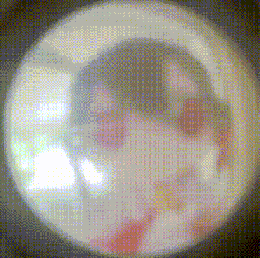 choose my pfp (weeb shit edition) | Fandom