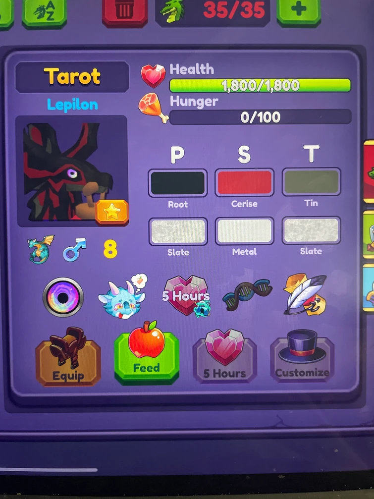 Discuss Everything About Dragon Adventures Wiki | Fandom