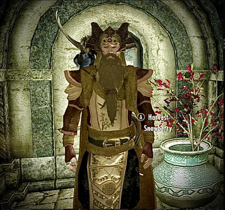 Discuss Everything About Elder Scrolls | Fandom