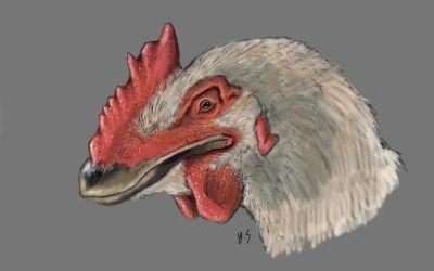 Chickenosaurus | Fandom