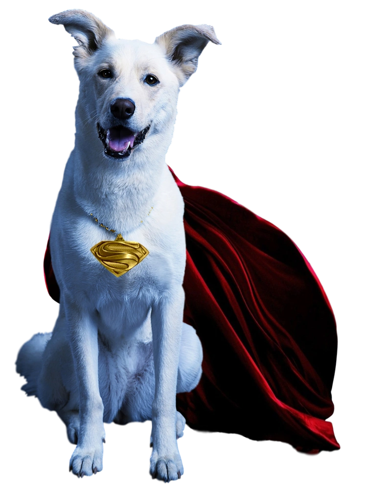 Krypto | DC Cinematic Universe Wiki | Fandom