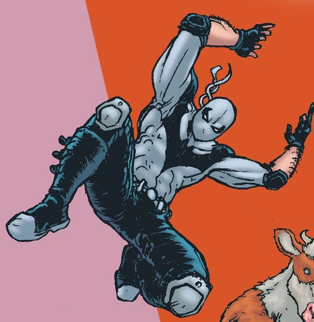 Nightrunner | DC Comics wiki | Fandom