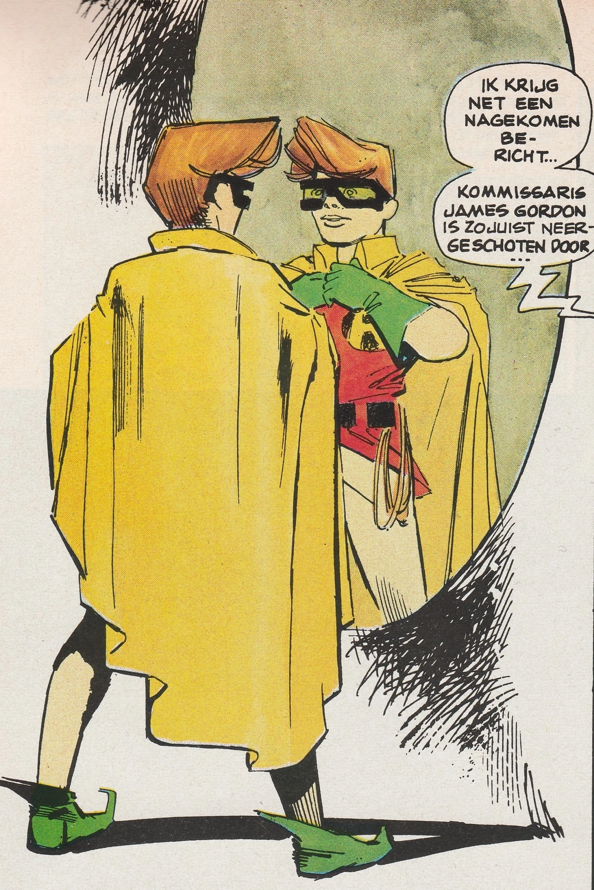 Carrie Kelley | DC Comics wiki | Fandom