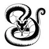 Pit Of Vipers | DC Fanon Wiki | Fandom