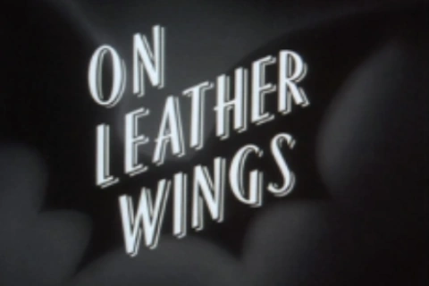 Episode Title Card | DC Comics Media Wiki | Fandom