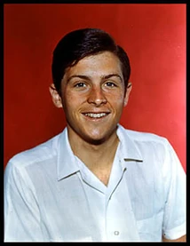 Burt Ward | DC Comics Media Wiki | Fandom
