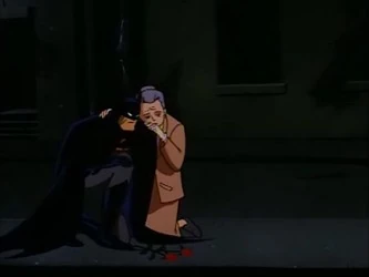 Crime Alley (DC Animated Universe) | DC Comics Media Wiki | Fandom