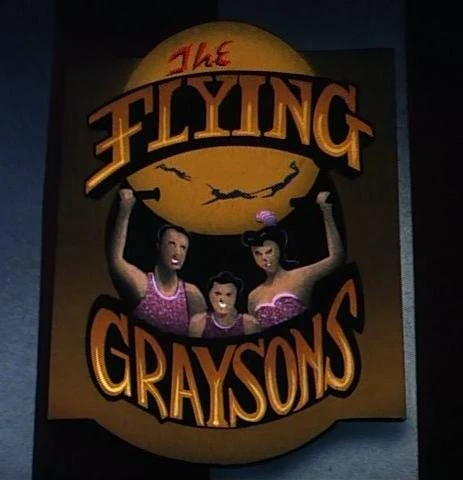 The Flying Graysons (DC Animated Universe) | DC Comics Media Wiki | Fandom