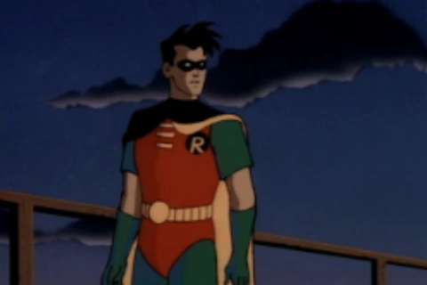 Robin / Nightwing (DC Animated Universe) | DC Comics Media Wiki | Fandom