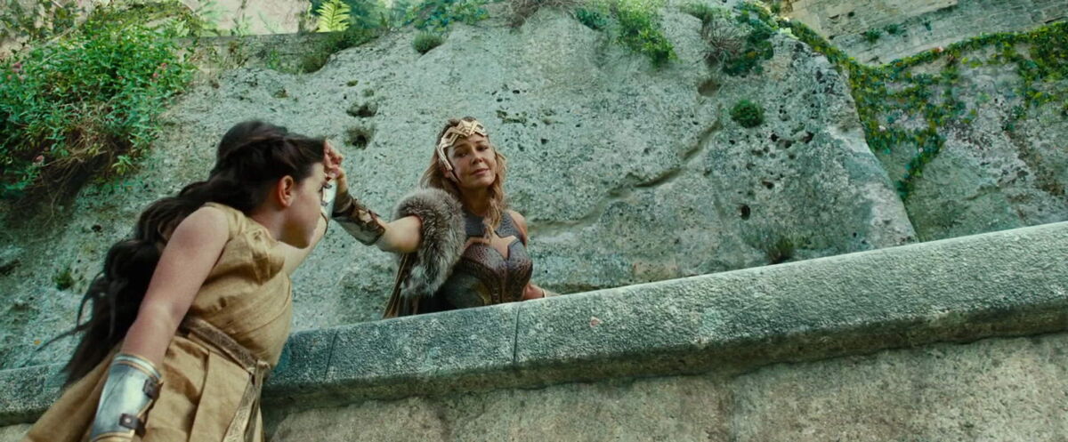 Hippolyta Gallery Dc Extended Universe Wiki Fandom