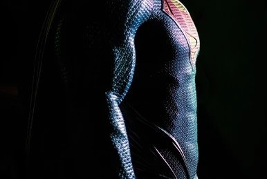 Casos Espaciais Paige Christina My DVD Collection Full List