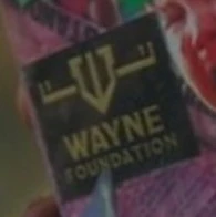 Wayne Foundation | DC Extended Universe Wiki | Fandom