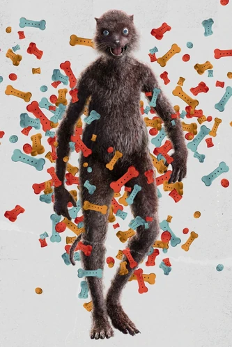 Weasel | DC Extended Universe Wiki | Fandom