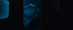 King Shark | DC Extended Universe Wiki | Fandom