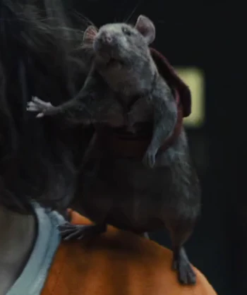 Sebastian | DC Extended Universe Wiki | Fandom