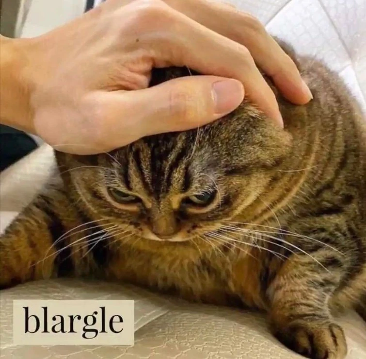 Blargle | Fandom