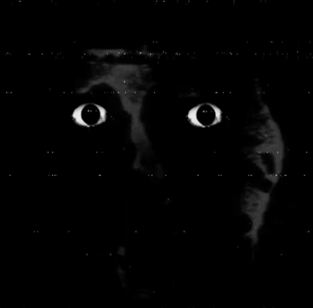 Phase 24+154 | Fandom