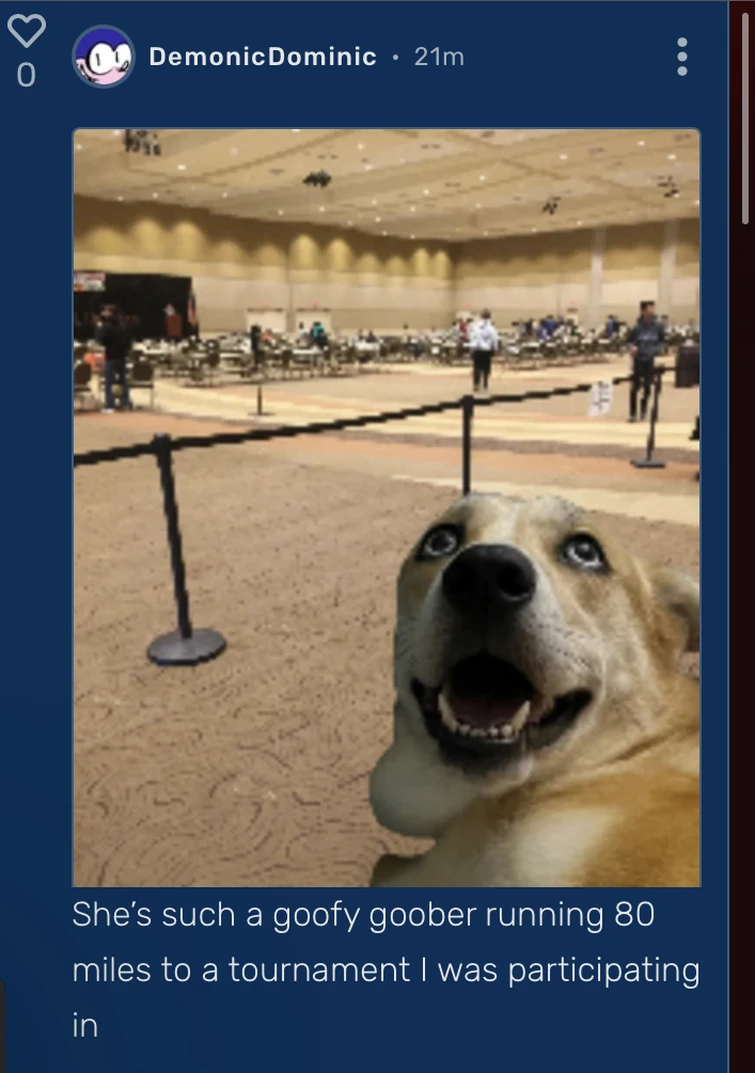 the gn post ever | Fandom